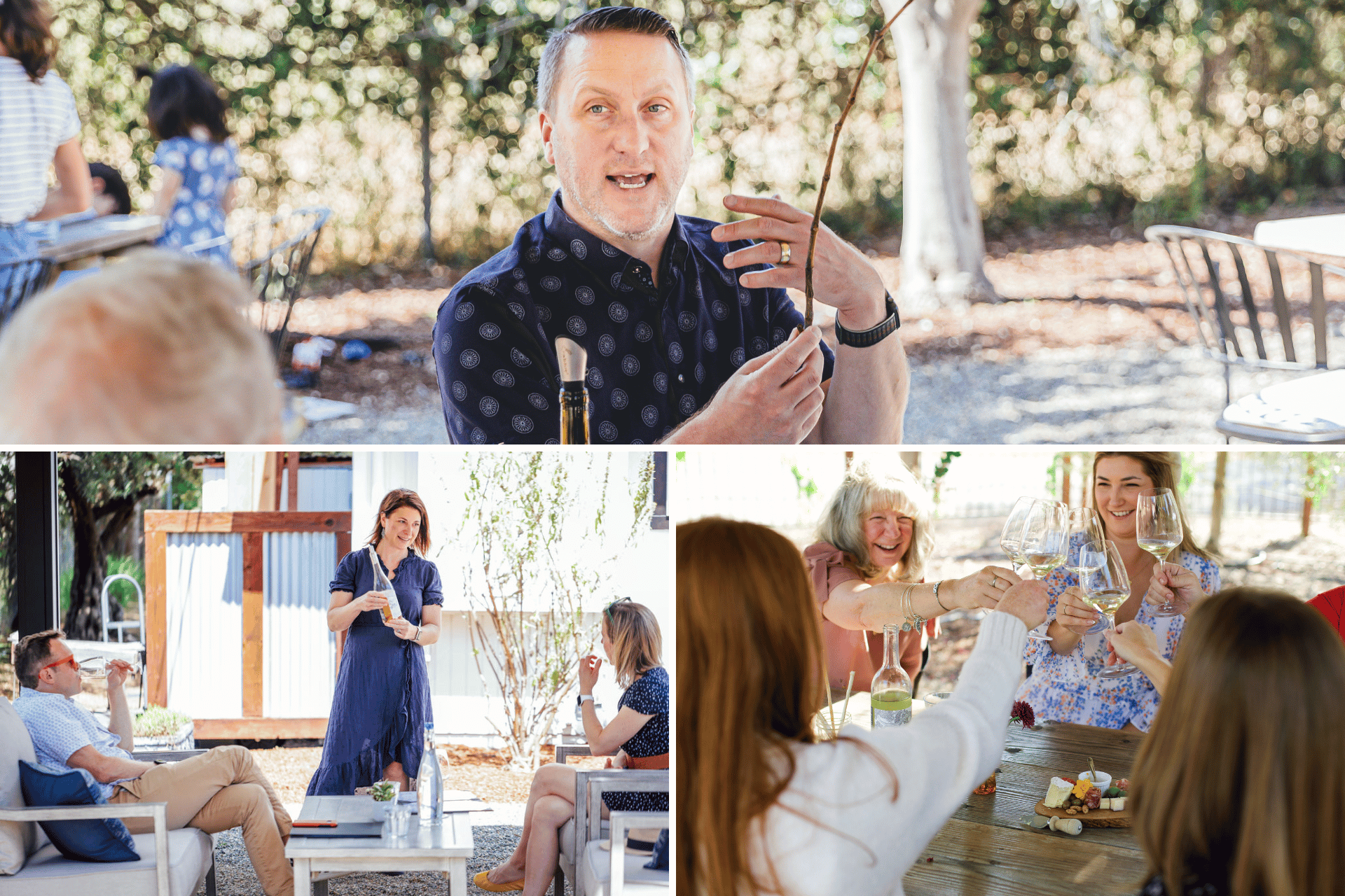 Visit Hamilton Family Wines | Wine Tasting in Kenwood Sonoma Valley