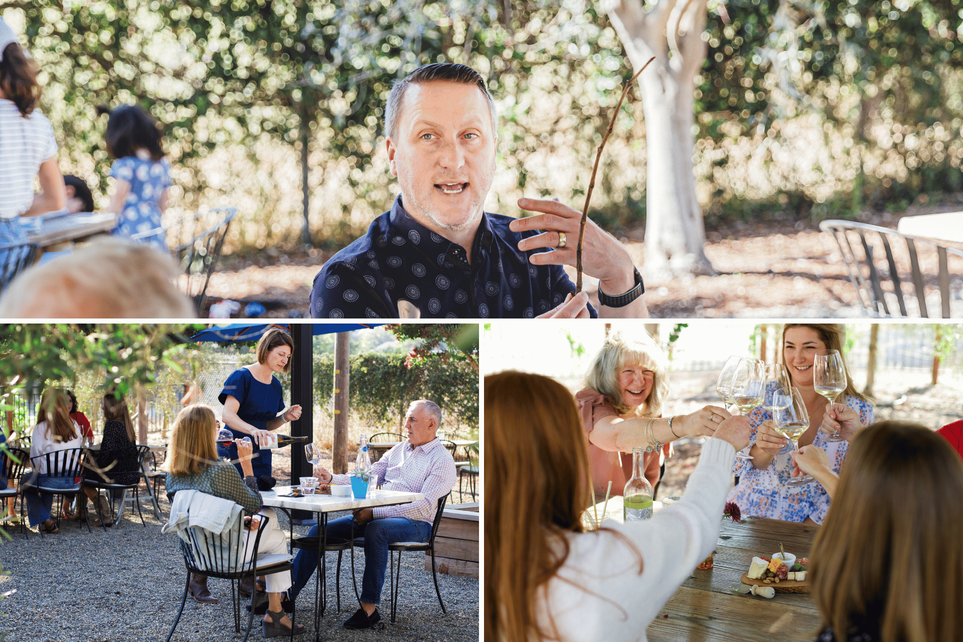 Hamilton Family Wines | Wine Tasting in Kenwood, Sonoma Valley